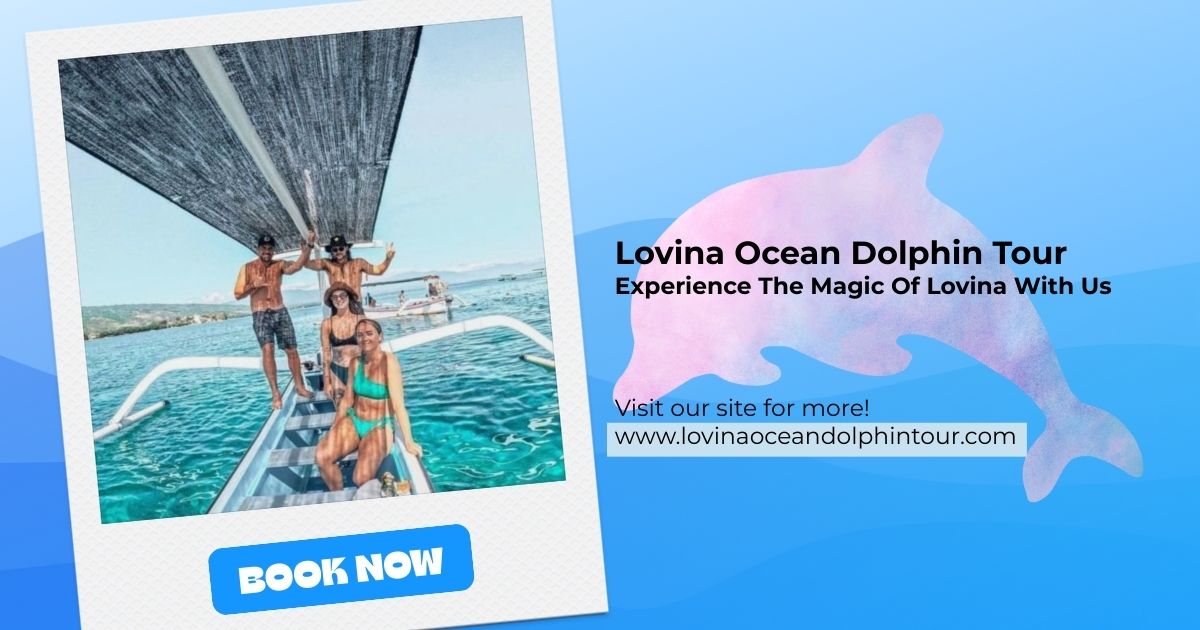 Lovina Ocean Dolphin Tour | Best Sunrise Dolphin Watching & Snorkeling ...